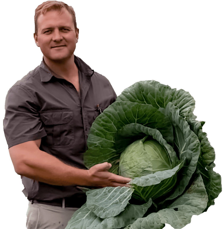 Fertilizers – Behin Trading